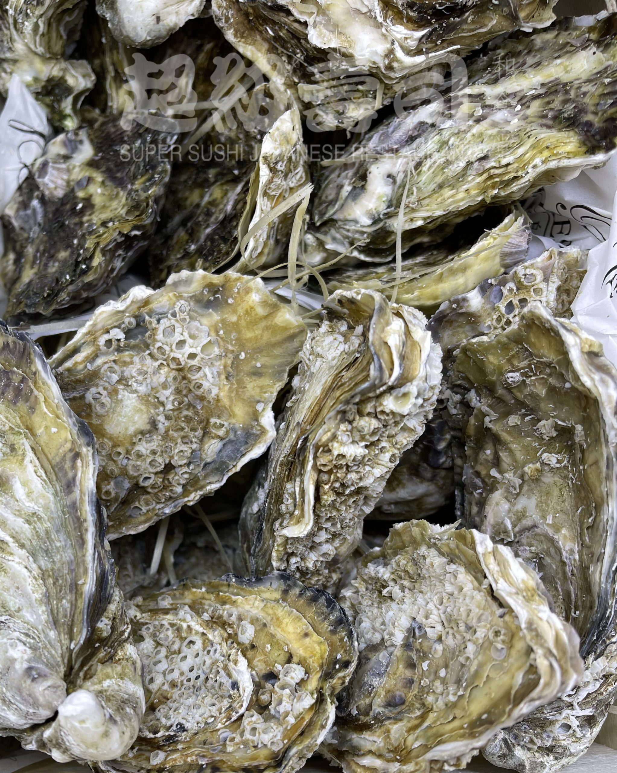 法國 Special Roland Lambert 藍寶石蠔 6隻